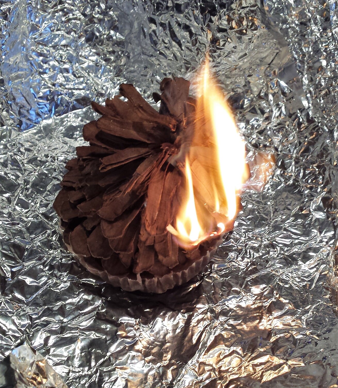 Fire Starters. Hand Made. Fire Pit. Bonfire. Eco Friendly Recycled Wax ...