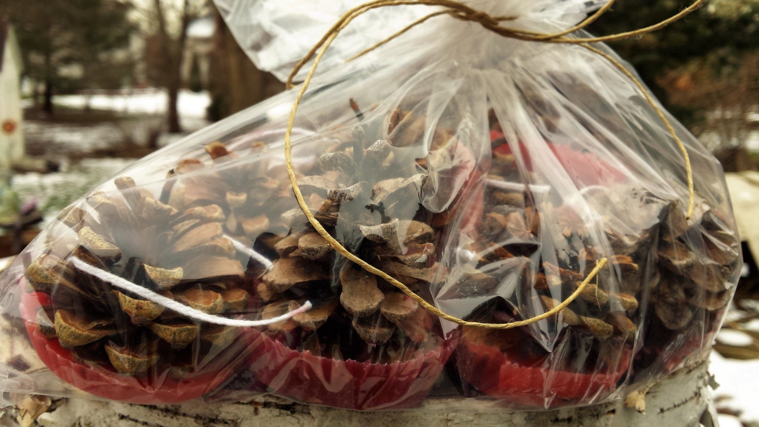 Fire Starters. Hand Made. Fire Pit. Bonfire. Eco Friendly Recycled Wax ...