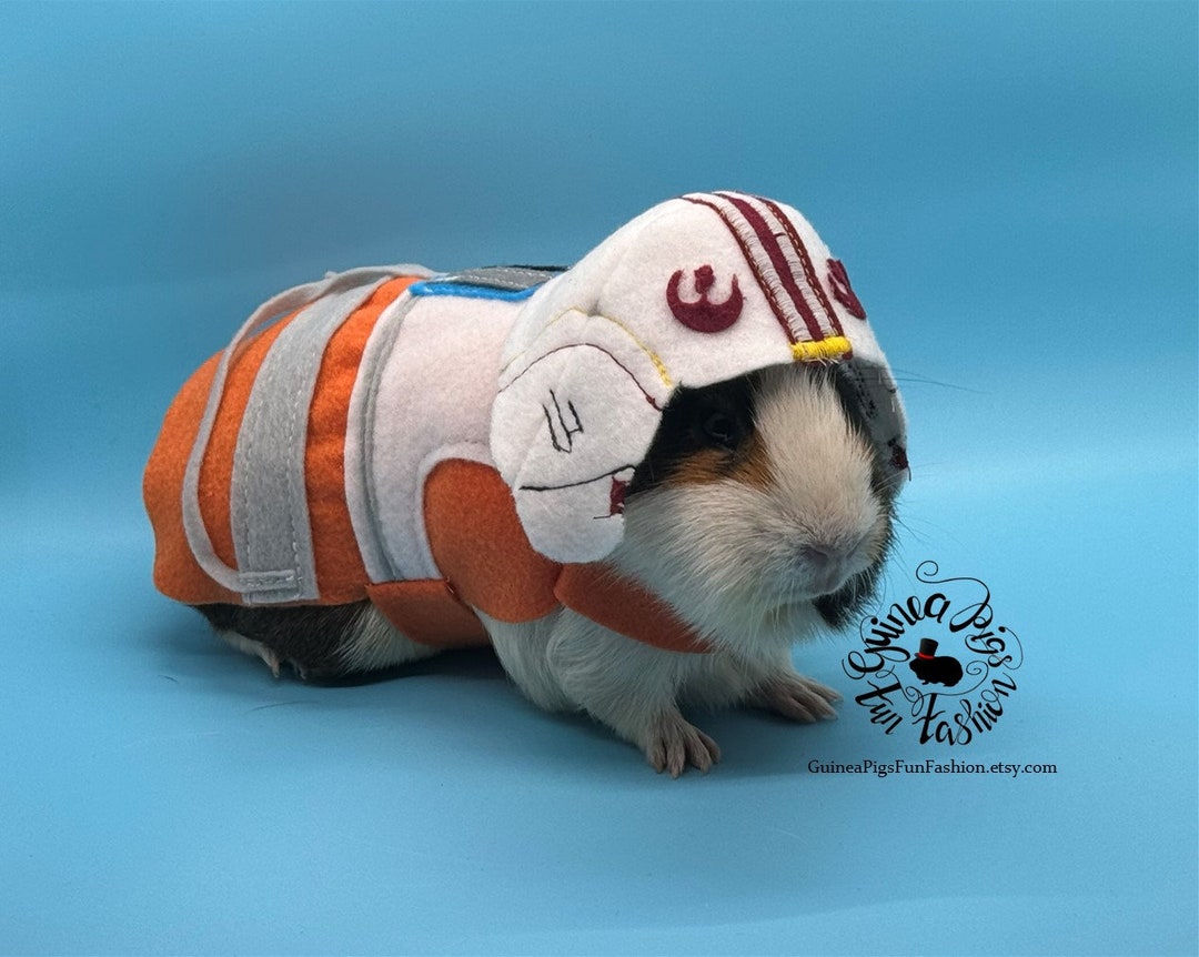 Out-of-this-world Space Pig Pilot Costume - Etsy