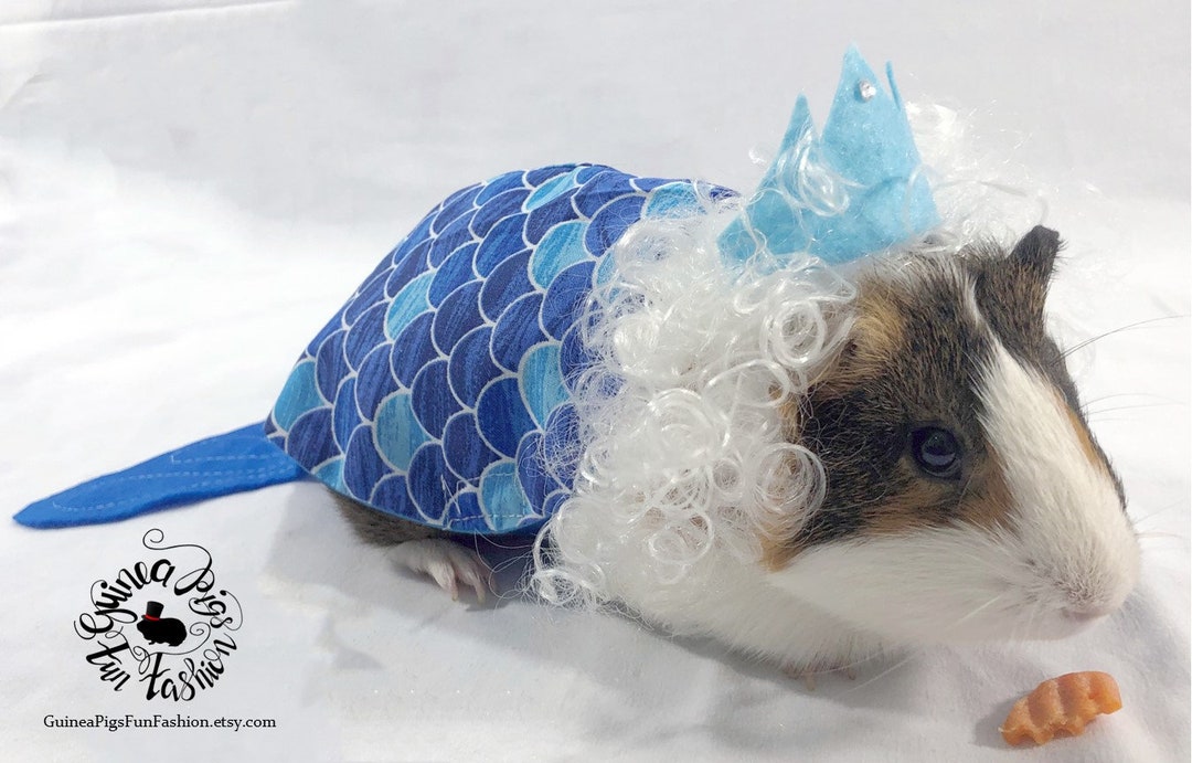 Enchanting Fun Guinea Pig Mermaid Costume - Etsy