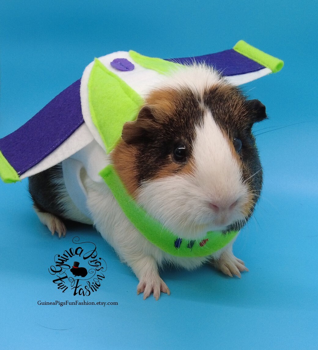 Space Ranger Pig Guinea Pig Costume - Etsy