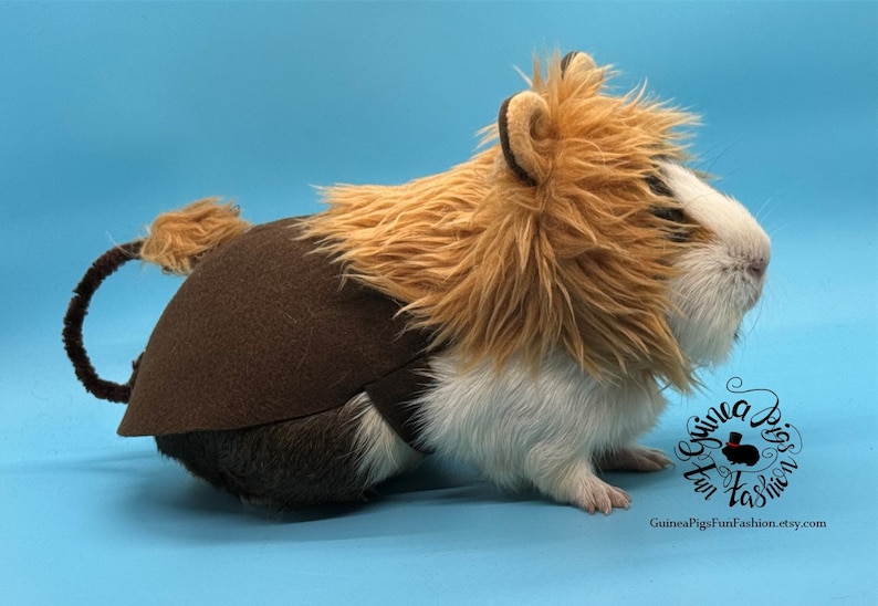 Roaring Good Time: One-piece Lion Guinea Pig Costume - Etsy