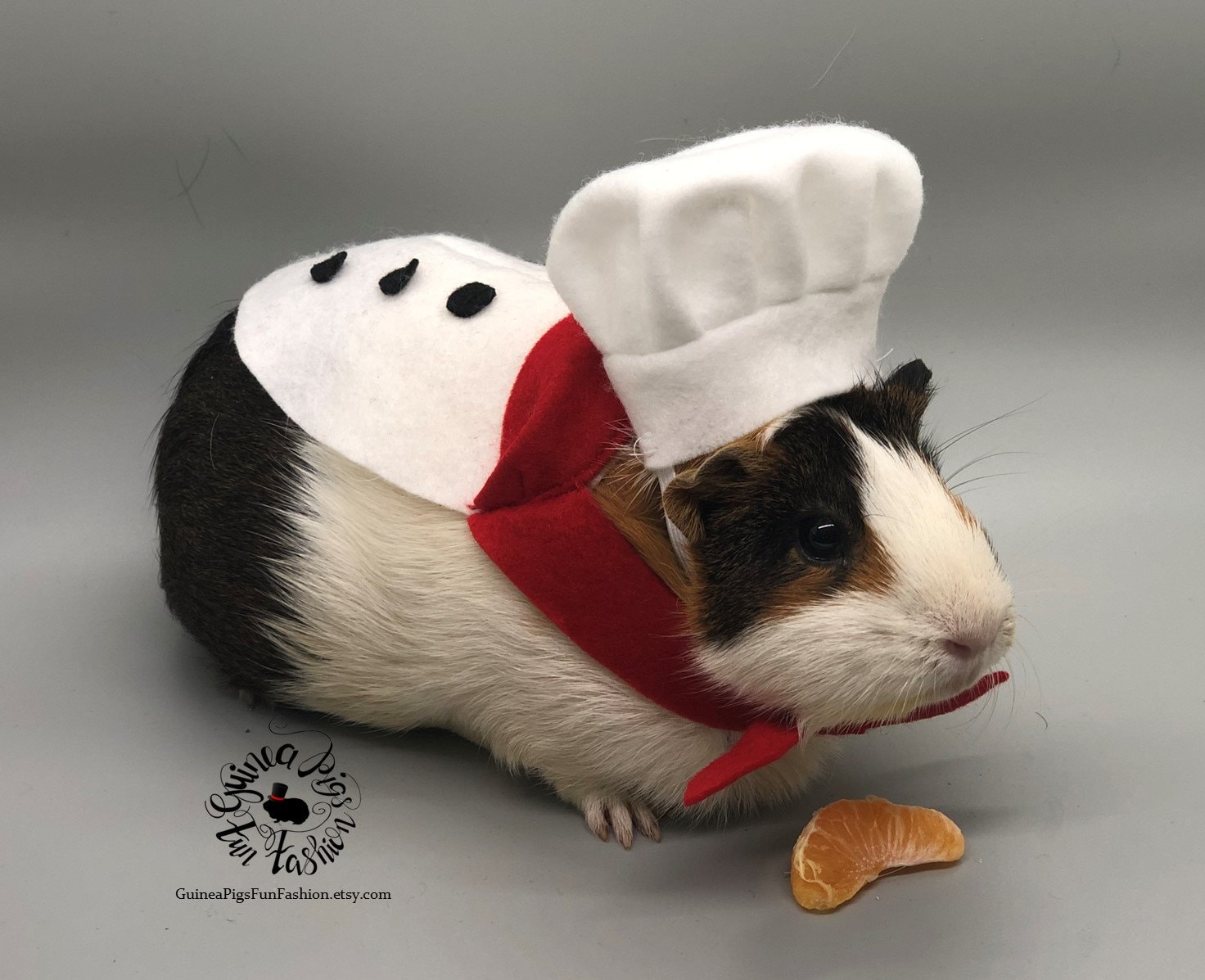 Italian Chef Guinea Pig Costume/outfit - Etsy