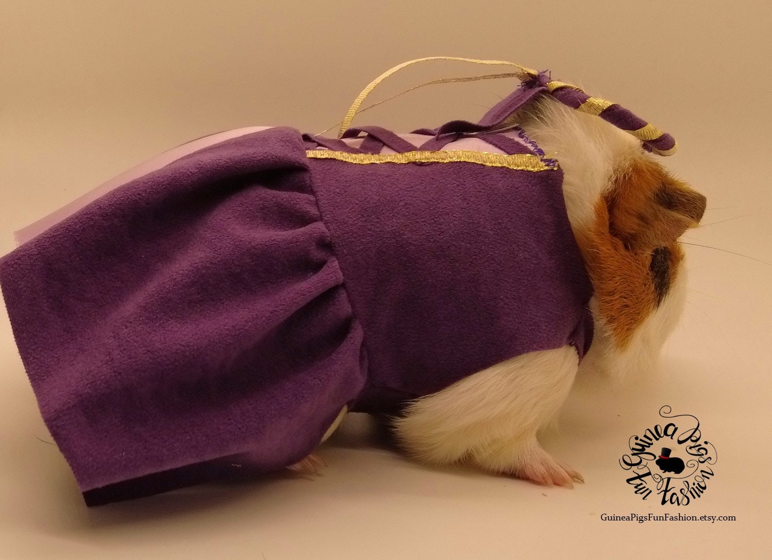 Medieval Princess Piggy Guinea Pig Costume - Etsy