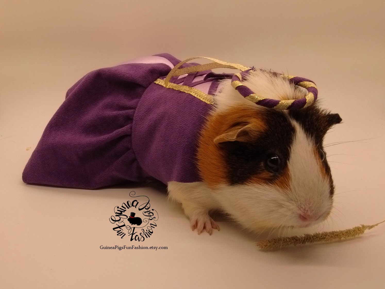 Medieval Princess Piggy Guinea Pig Costume - Etsy