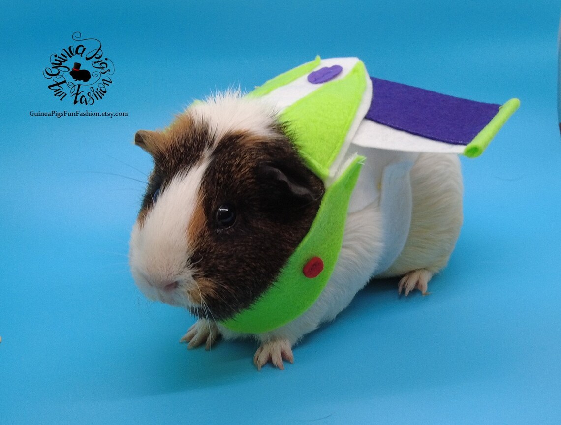 Space Ranger Pig Guinea Pig Costume - Etsy