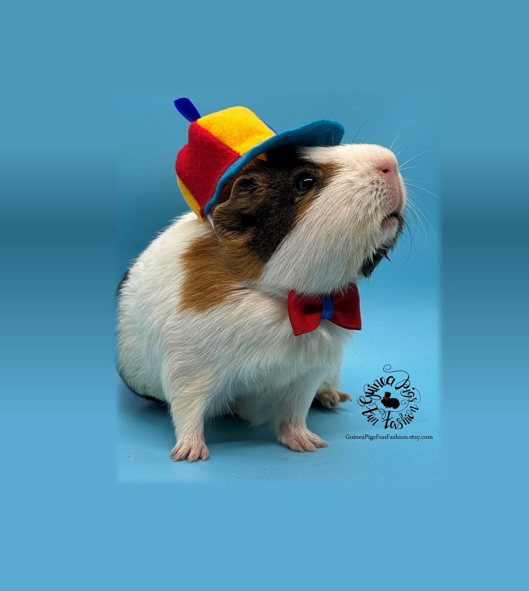 Spinny Top Guinea Pig Hat - Etsy