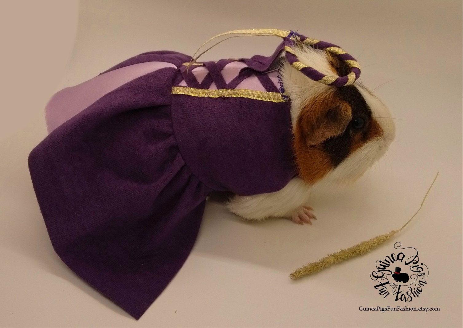 Medieval Princess Piggy Guinea Pig Costume - Etsy
