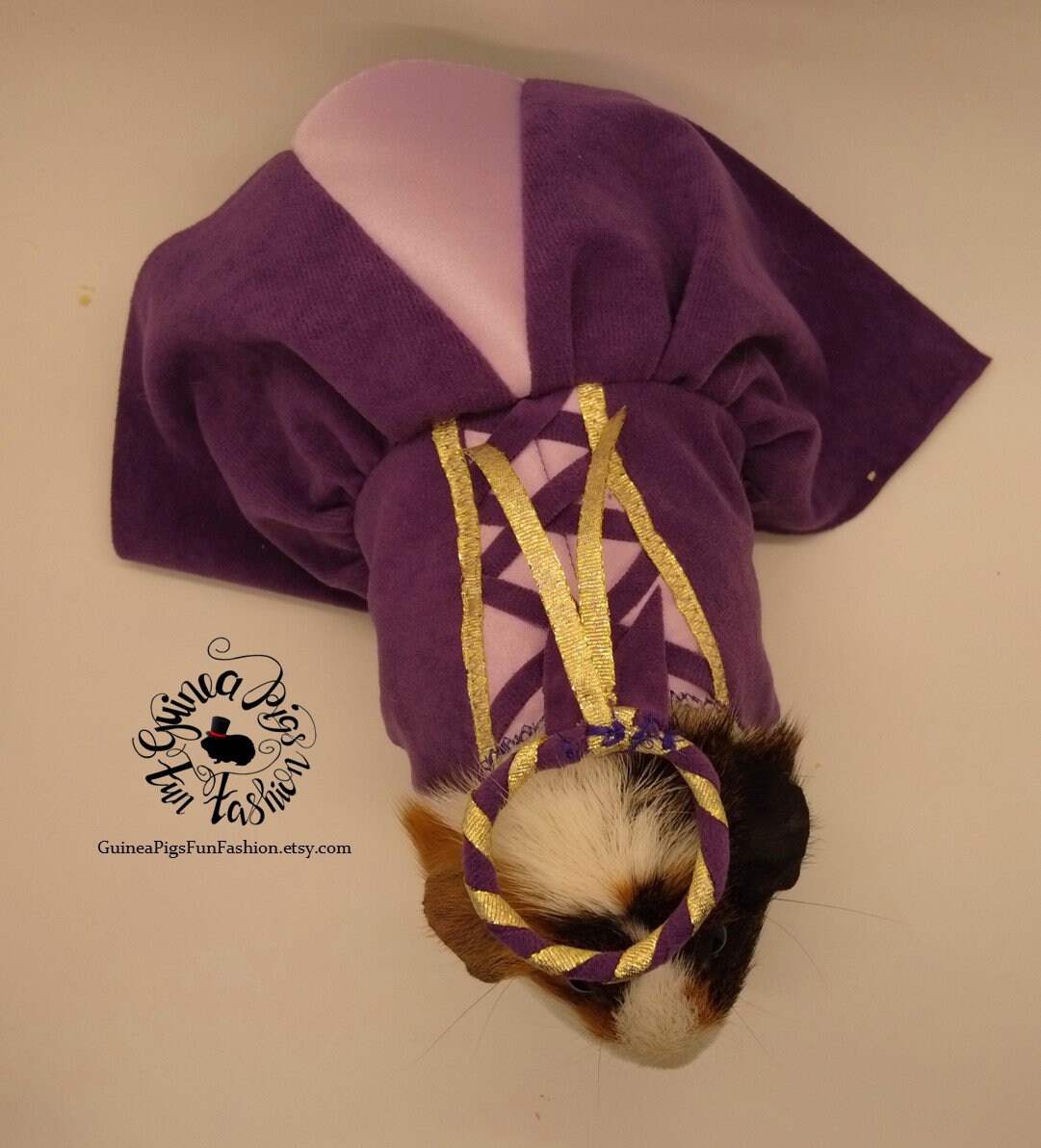 Medieval Princess Piggy Guinea Pig Costume - Etsy
