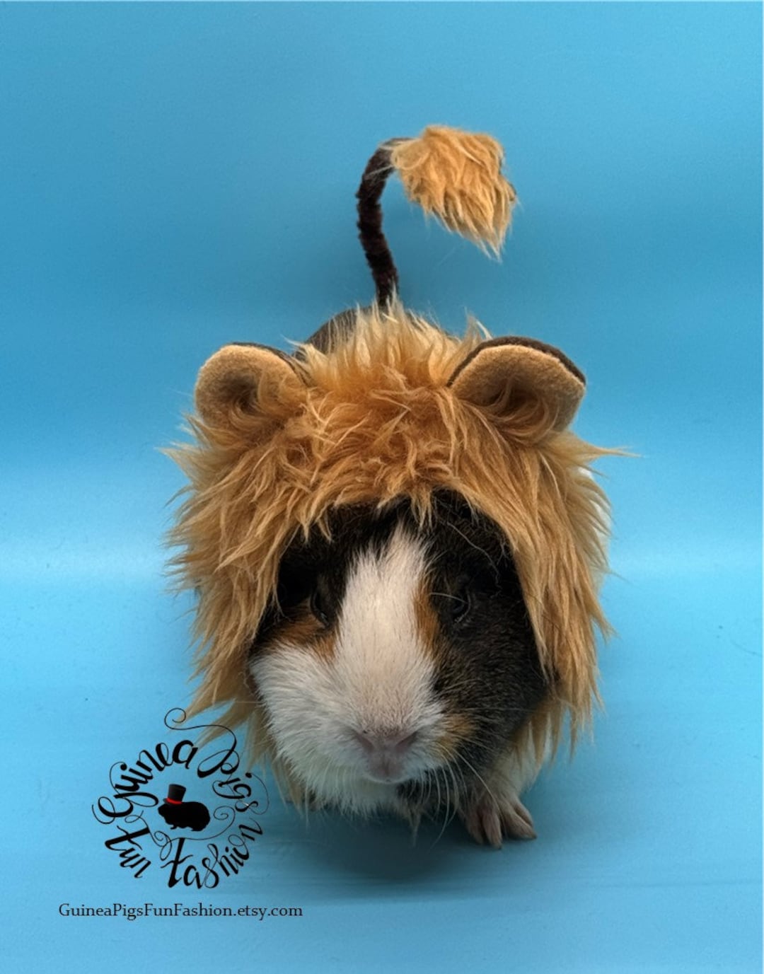 Roaring Good Time: One-piece Lion Guinea Pig Costume - Etsy