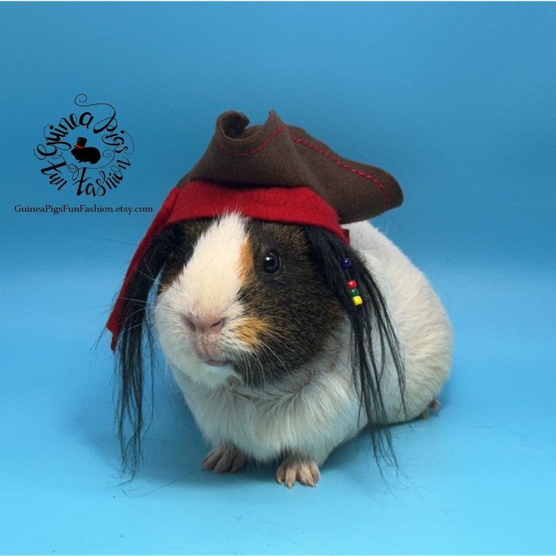 Guinea Pig Hat - Etsy