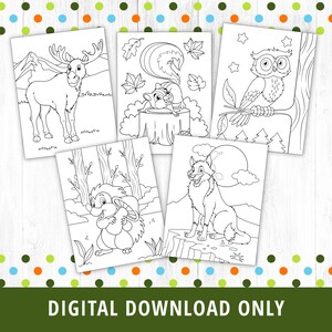 Woodland Forest Animals Coloring Pages, Woodland Animals Coloring Pages ...