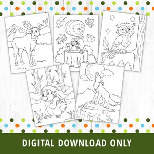 Woodland Forest Animals Coloring Pages, Woodland Animals Coloring Pages ...