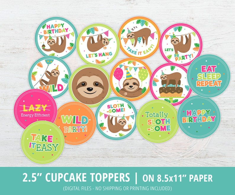 Sloth Birthday Decorations Sloth Party Package Sloth Theme | Etsy