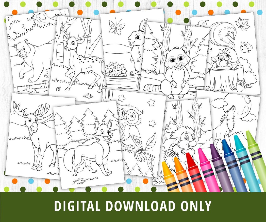 Woodland Forest Animals Coloring Pages Woodland Animals - Etsy