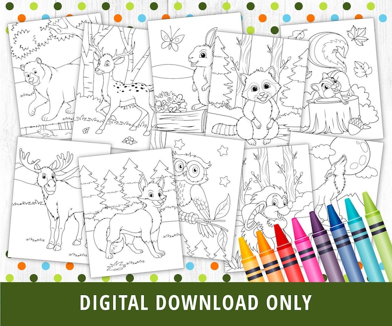 Woodland Forest Animals Coloring Pages Woodland Animals - Etsy
