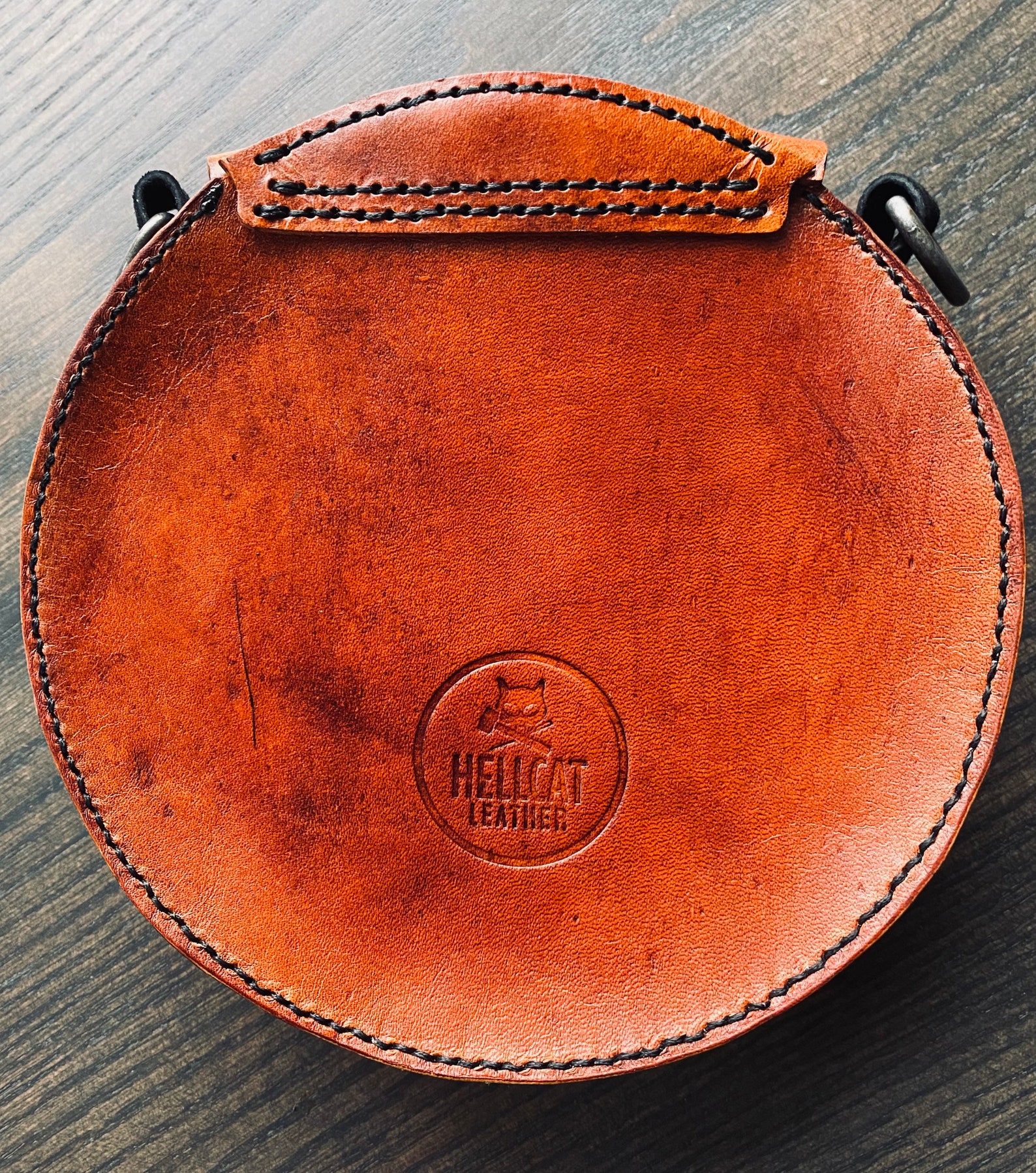 Ufo Abduction Dinosaur Circle Purse With Interchangeable - Etsy