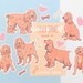 Gold Cocker Spaniel Stickers - Cute English Spaniel Stickers - Cute Dog ...
