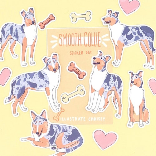 Sable Collie Sticker Set Smooth Collie Stickers Dog - Etsy
