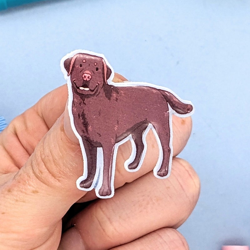 IllustrateChrissy - Etsy