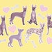 Xoloitzcuintli Stickers Cute Dog Stickers Xolo Dog | Etsy