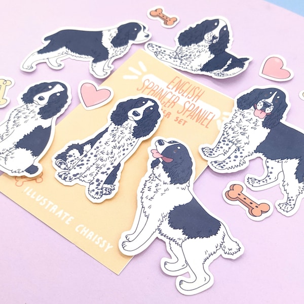 Springer Spaniel Decal - Etsy
