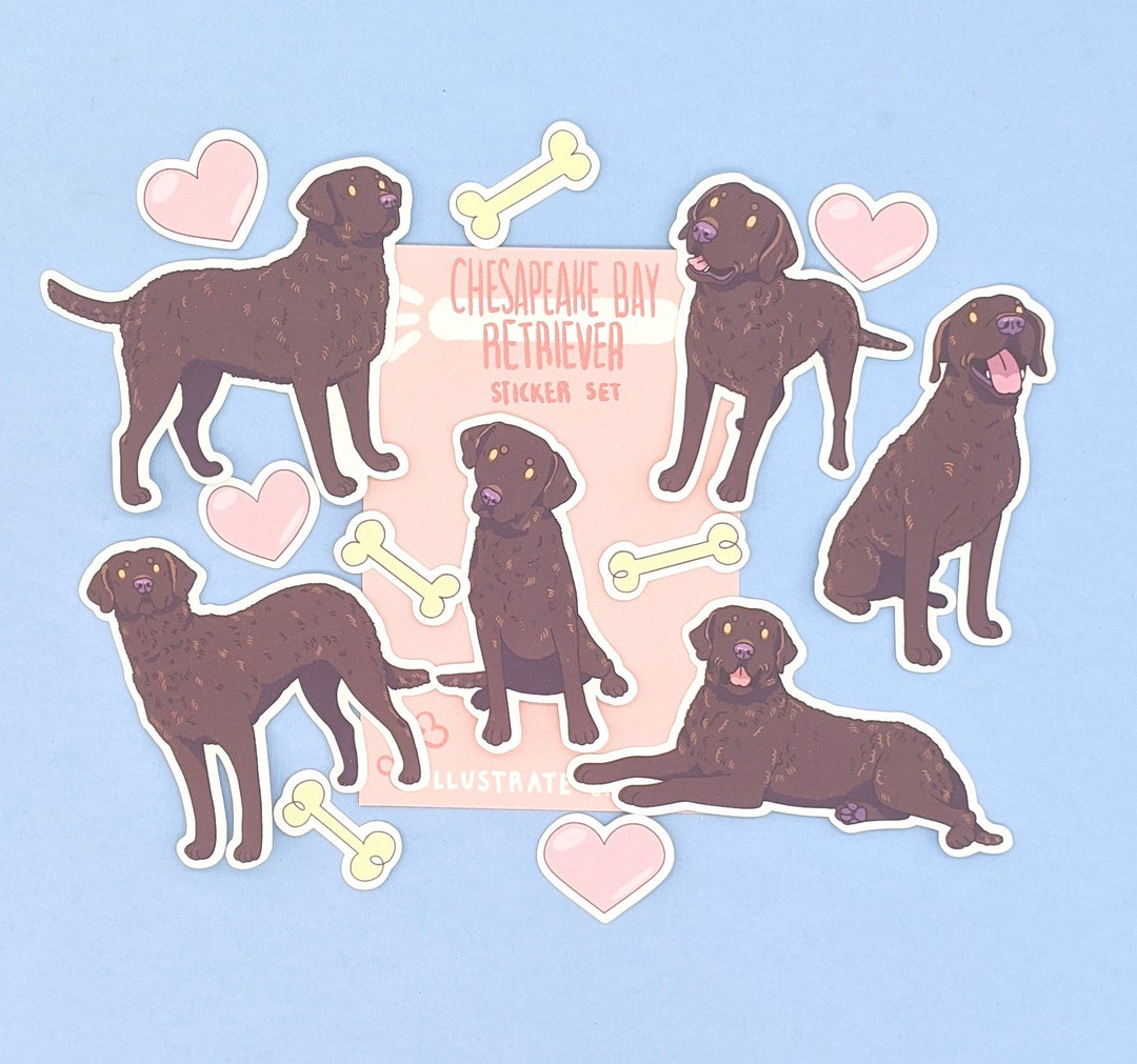 Dark Chesapeake Bay Retriever Stickers - Cute Dog Sticker Set - Dog ...