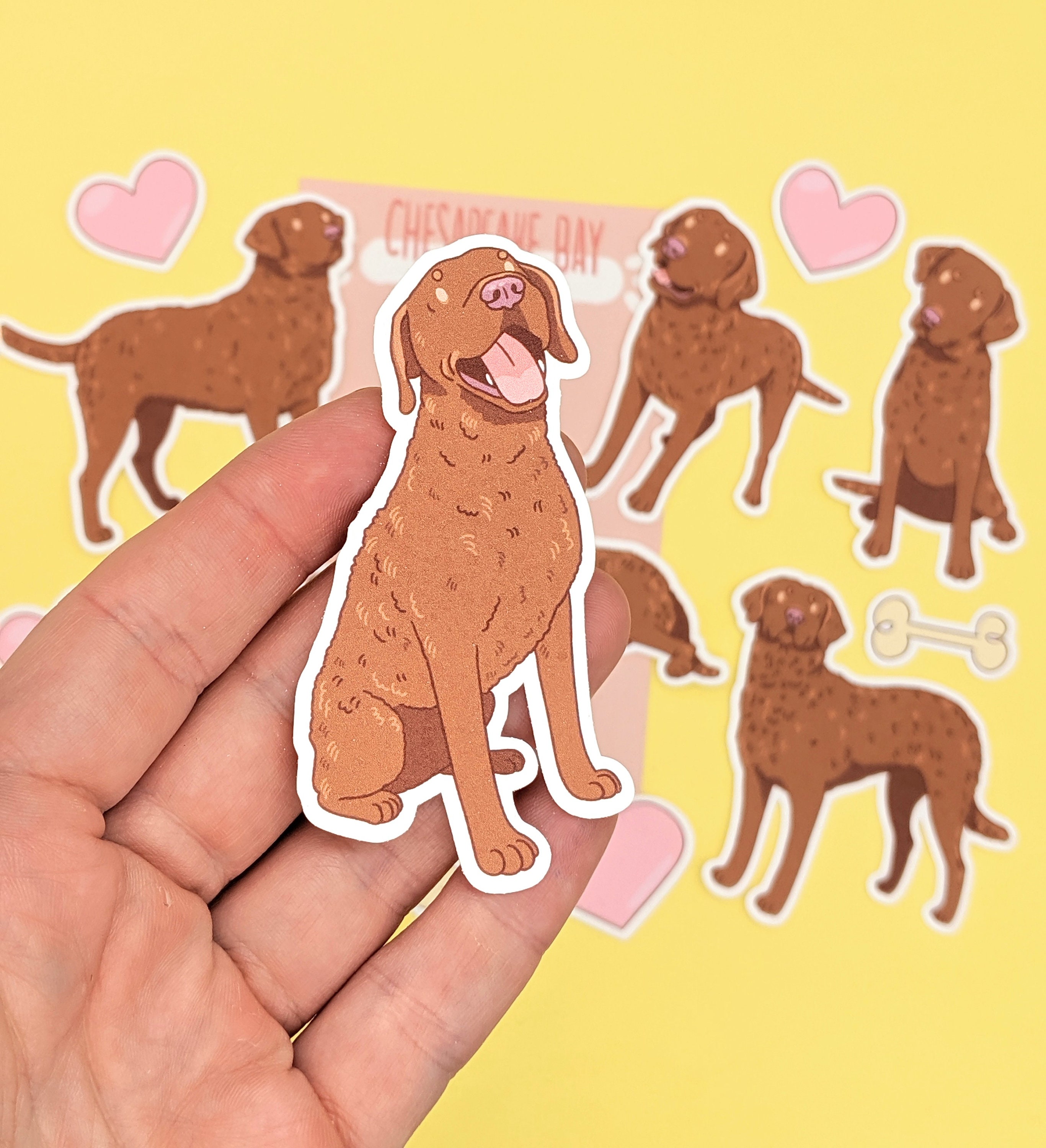 Chesapeake Bay Retriever Stickers Cute Dog Sticker Set Dog | Etsy