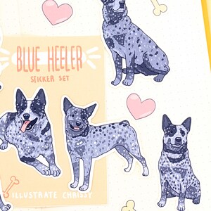 Dark Blue Heeler Stickers - Docked Tail - Australian Cattle Dog Sticker ...
