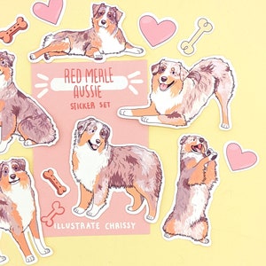 Light Red Merle Aussie Sticker Australian Shepherd Dog - Etsy