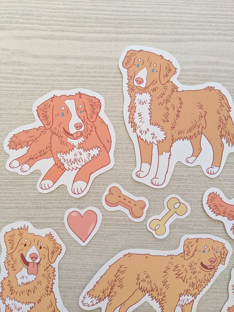 Cartoon Duck Toller Stickers - Waterproof Sticker Set - Etsy