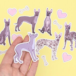 Xoloitzcuintli Stickers - Cute Dog Stickers - Xolo Dog - Mexican ...
