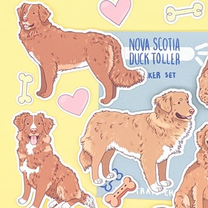 Nova Scotia Duck Tolling Retriever Stickers - Waterproof Sticker Set - Etsy