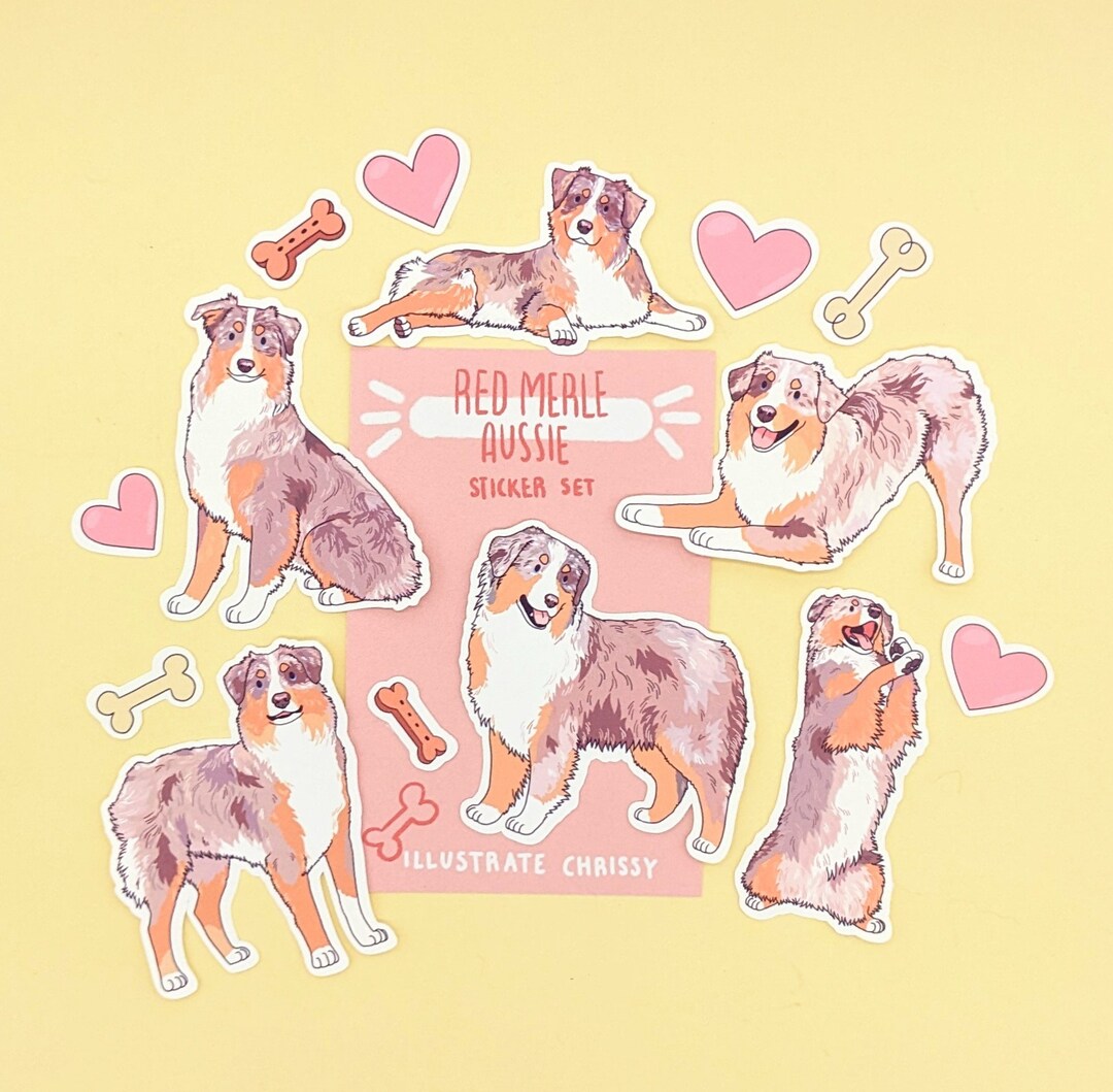 Light Red Merle Aussie Sticker Australian Shepherd Dog - Etsy