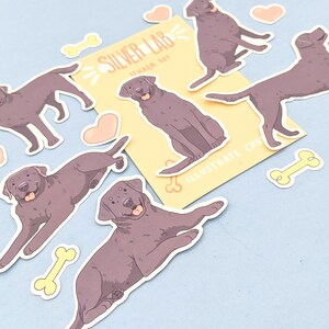 Silver Lab Stickers - Silver Labrador Stickers - Labrador Retriever ...