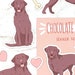 Chocolate Lab Stickers Waterproof Sticker Set - Etsy