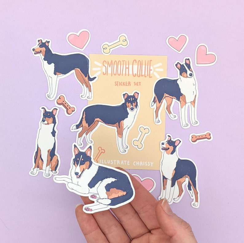 Tricolor Collie Sticker Set Smooth Collie Stickers Dog | Etsy