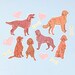 Irish Setter Stickers Cute Dog Sticker Set - Etsy