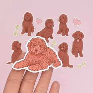 Red Cockapoo Stickers - Cute Dog Stickers - Cocker Spaniel X Poodle ...