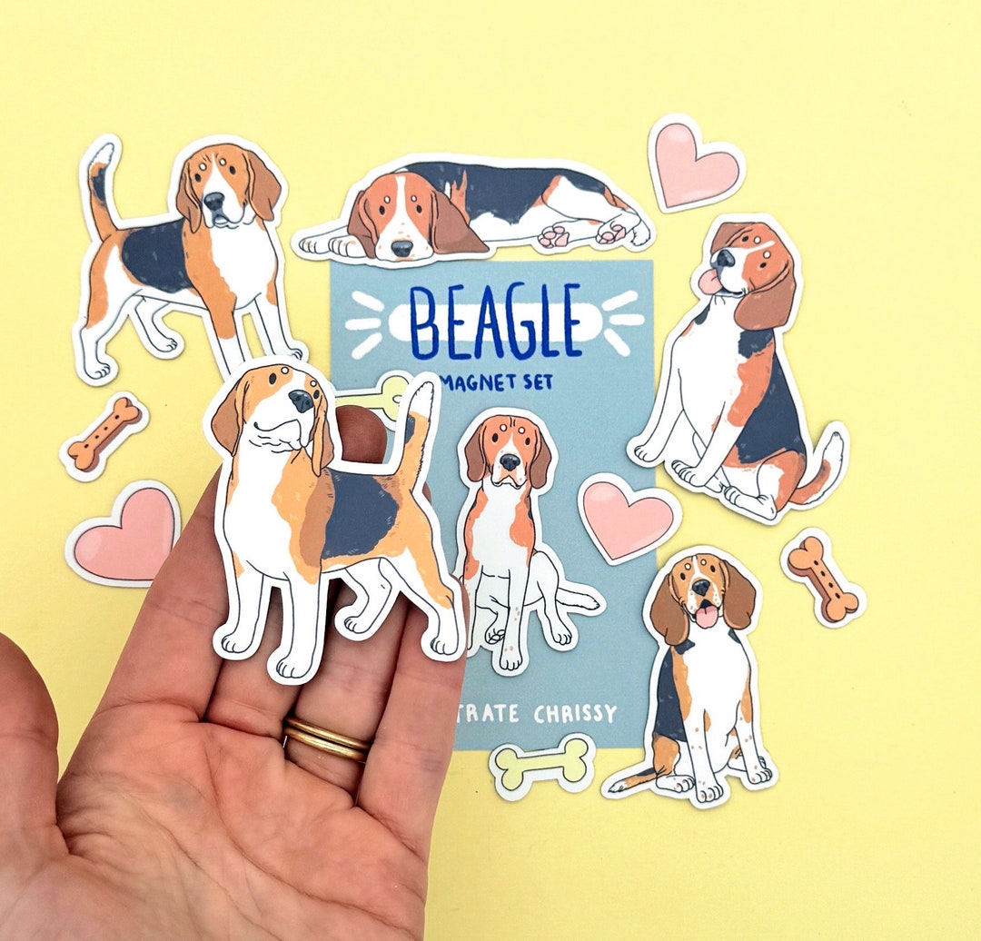Beagle Magnet Set - Etsy