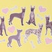 Xoloitzcuintli Stickers Cute Dog Stickers Xolo Dog - Etsy