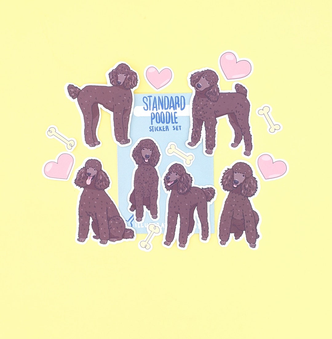Chocolate Standard Poodle Stickers - Waterproof - Etsy
