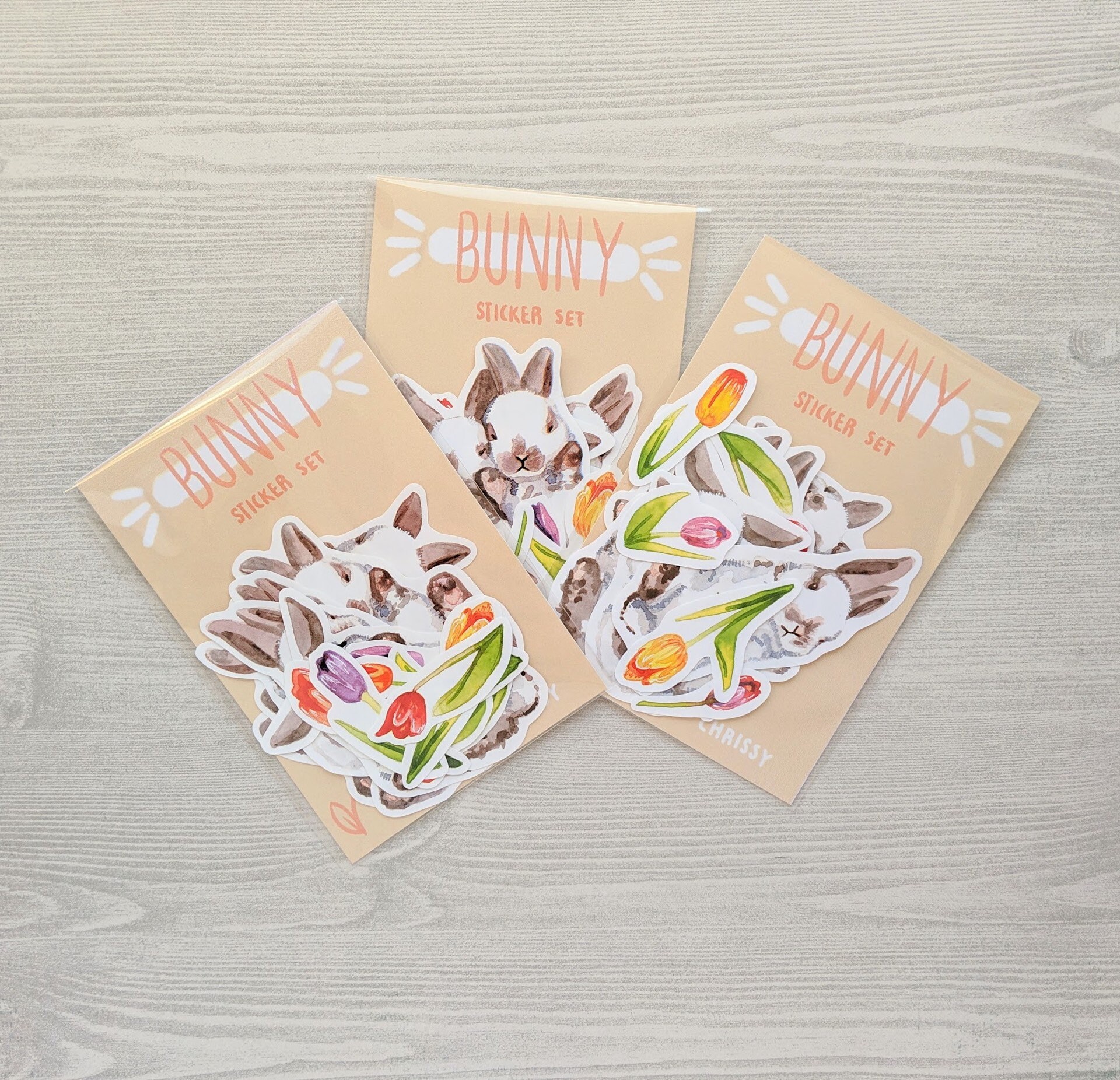 Bunny Sticker Set Spring Stickers Cute Stickers Easter | Etsy