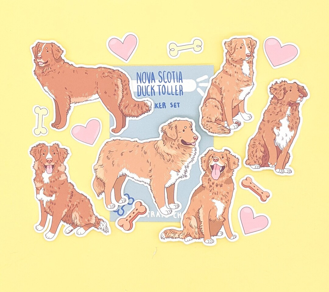 Nova Scotia Duck Tolling Retriever Stickers - Waterproof Sticker Set - Etsy
