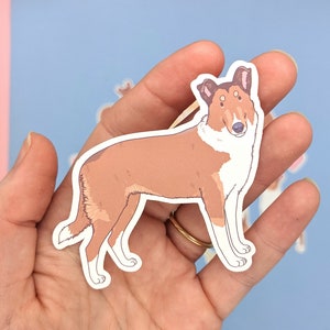 Sable Collie Sticker Set - Smooth Collie Stickers - Dog Stickers - Etsy