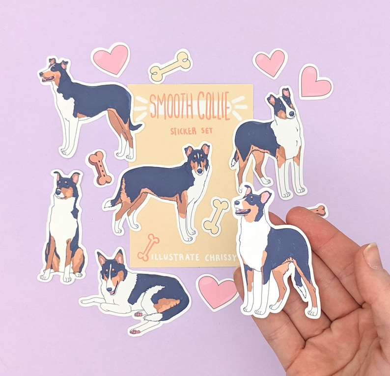 Tricolor Collie Sticker Set Smooth Collie Stickers Dog - Etsy