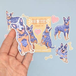 Blue Heeler Stickers - Australian Cattle Dog Sticker Set - Waterproof ...