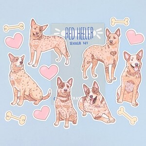 Red Heeler Stickers - Red Australian Cattle Dog Stickers - Cute Dog ...
