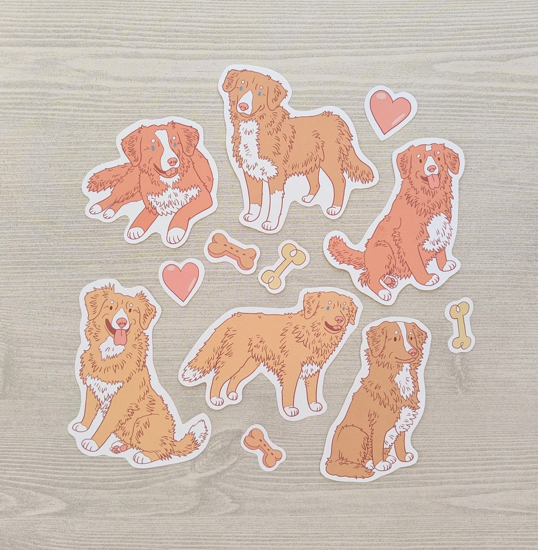 Cartoon Duck Toller Stickers - Waterproof Sticker Set - Etsy
