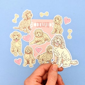 Cream Cockapoo Stickers - Cute Dog Stickers - Cocker Spaniel - Poodle ...